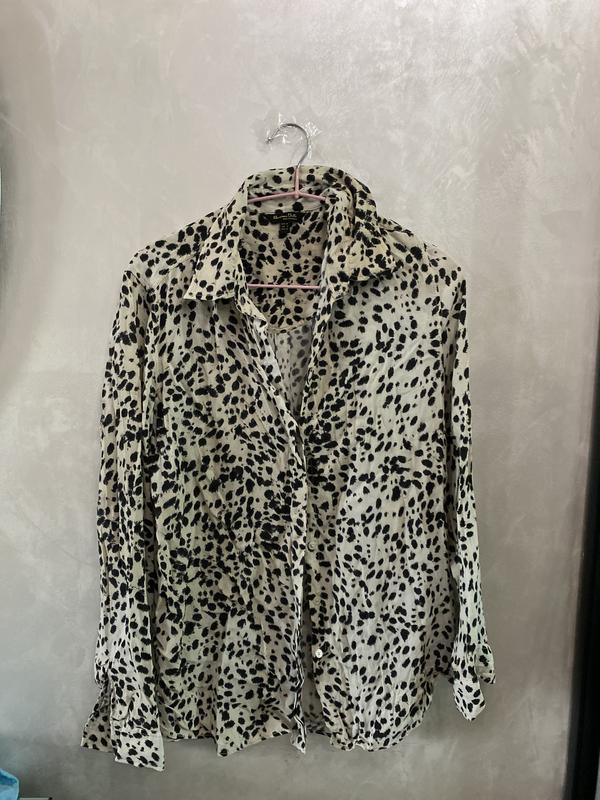 Блуза — ціна 250 грн у каталозі Блузи Купити жіночі речі за доступною