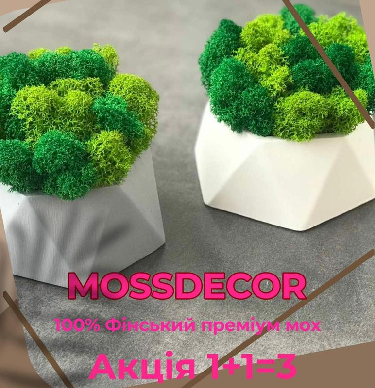 Кашпо гіпсове із мохом мох в горщику преміум мох — цена 350 грн в каталоге Искусственные цветы