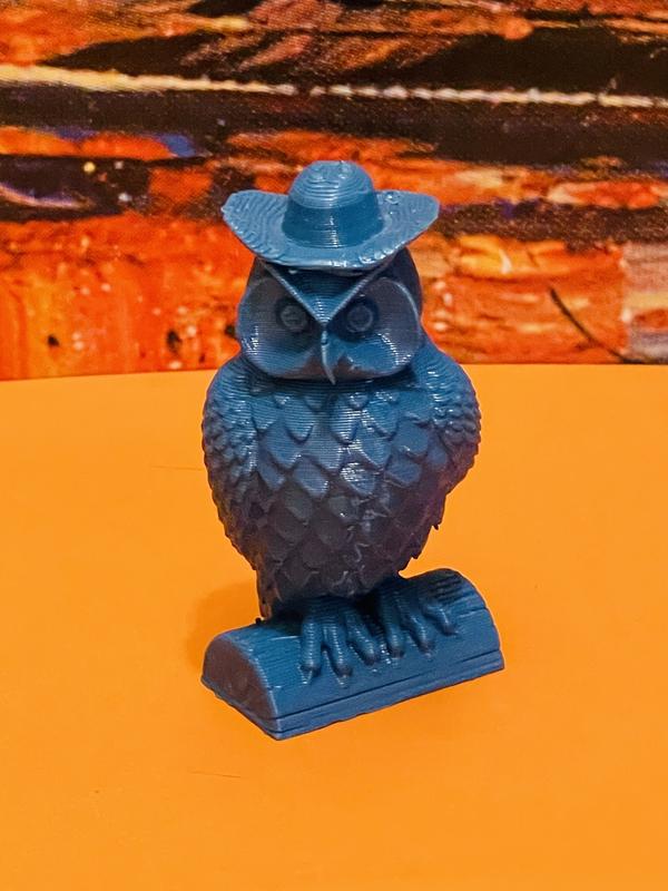 Статуэтка сова в шапке ковбоя — ціна 150 грн у каталозі Статуетки Купити товари для дому та