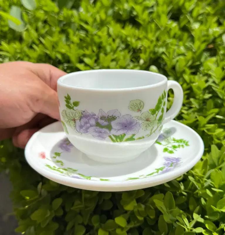 Сервіз чайний Essence Mabelle 220 мл 12 предметів Luminarc — ціна 679 грн у каталозі Чайні