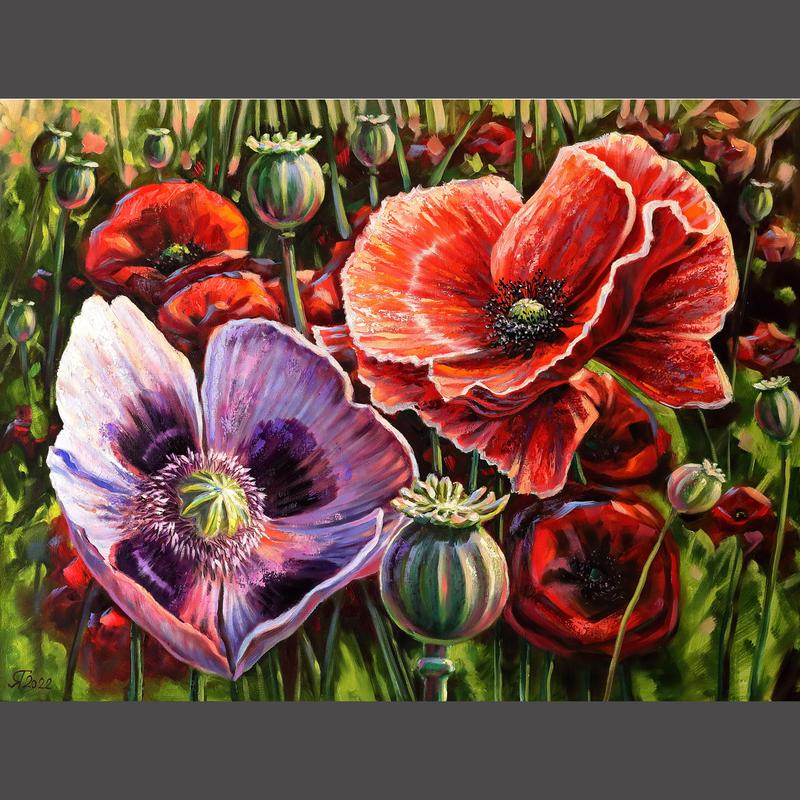 Картина олією маки — ціна 4900 грн у каталозі Картини Купити товари для дому та побуту за
