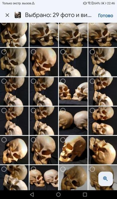 Череп гіпсовий — ціна 850 грн у каталозі Статуетки Купити товари для дому та побуту за доступною
