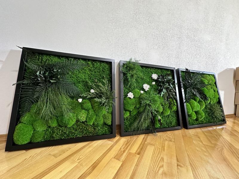 Картина стабилизированный мох+растения ( 3 панно комплект) — цена 22875 ...