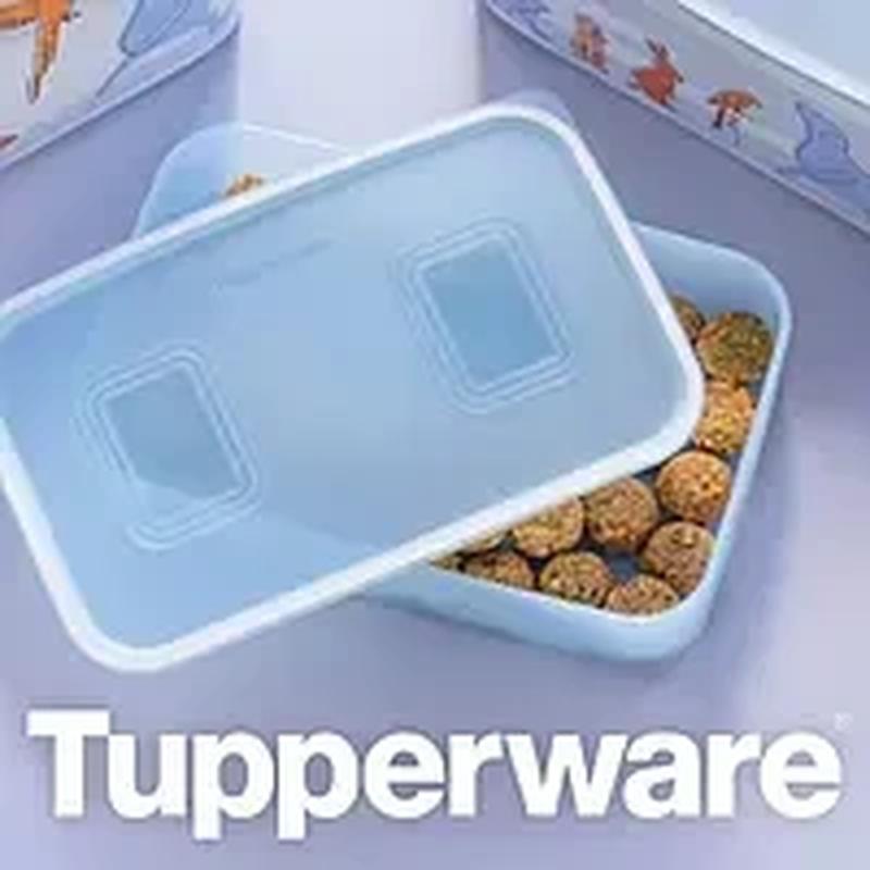 Контейнер "акваконтроль" 1,1л tupperware — ціна 599 грн у каталозі ...