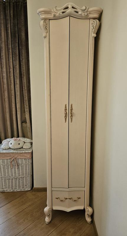 Шафа розпашна вузька класична Carpenter — ціна 5500 грн у каталозі Шафи Купити товари для дому