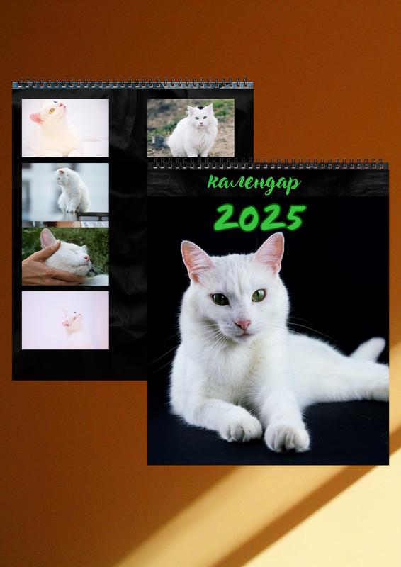 Календарь настенный перекидной кот 2025 а4 — цена 150 грн в каталоге Календари Купить товары для