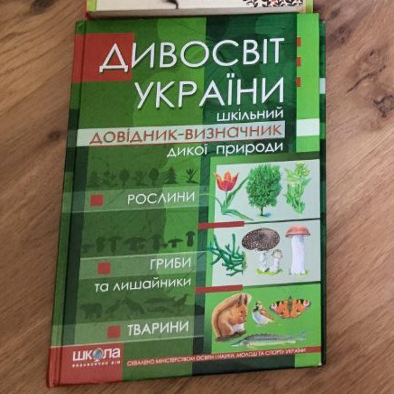 Дивосвіт україни — ціна 50 грн у каталозі Підручники Купити товари для спорту за доступною ціною