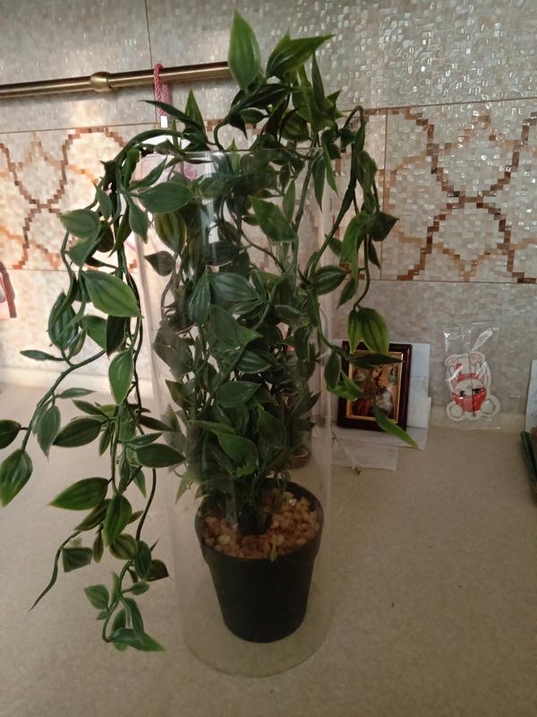 Стеклянная колба для декора — цена 160 грн в каталоге Вазы Купить товары для дома и быта по