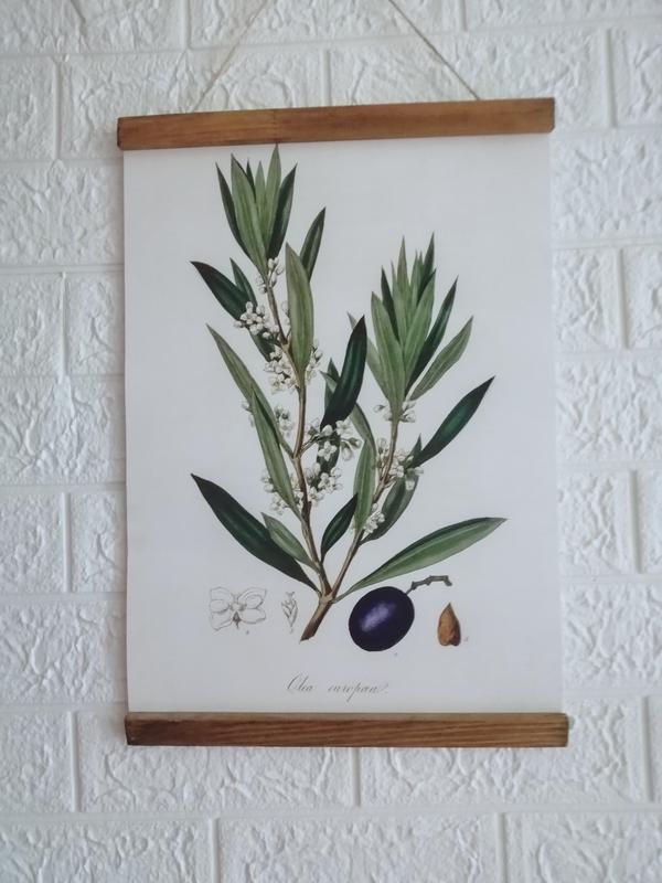 Картина ботаника 40х30см — ціна 250 грн у каталозі Картини Купити товари для дому та побуту за