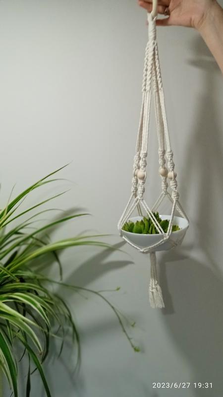 Подвесное кашпо — цена 180 грн в каталоге Кашпо Купить товары для дома и быта по доступной цене