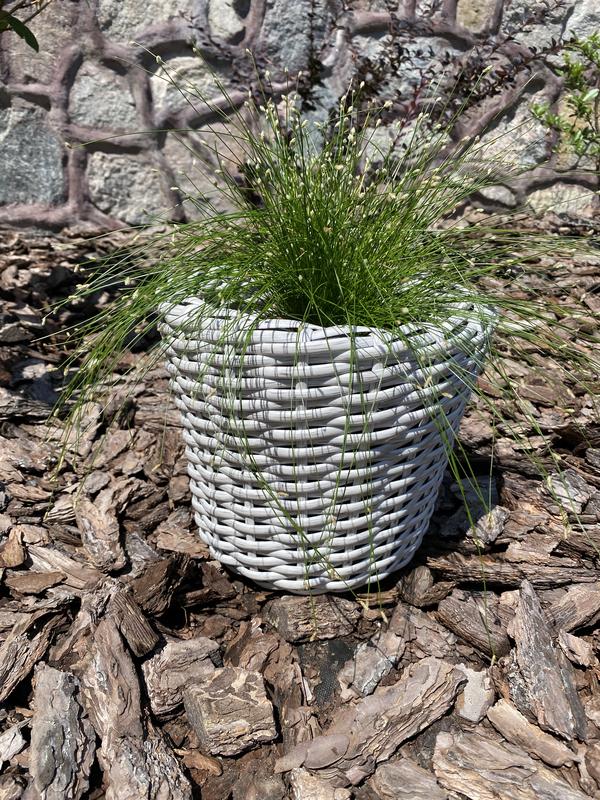 Кашпо изо ротанга вазон — цена 300 грн в каталоге Кашпо Купить товары для дома и быта по