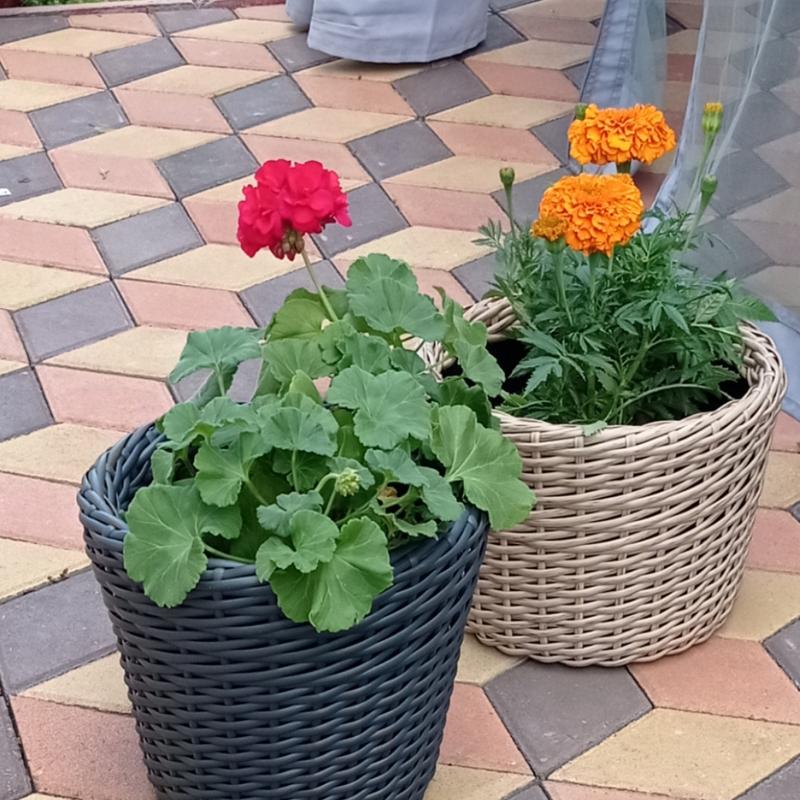 Кашпо із ротанга для квітів ялинок — ціна 320 грн у каталозі Кашпо Купити товари для дому та