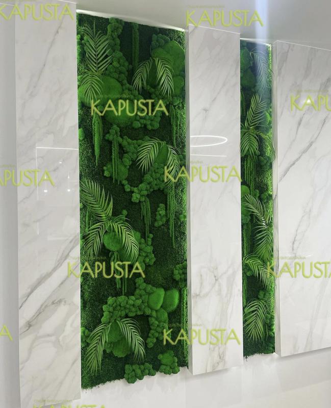 Панелі стабілізованний ягель кочка — ціна 12500 грн у каталозі Штучні квіти Купити товари для