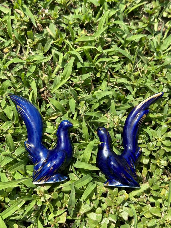 Статуетка голуб фазан порцелян фарфор городница городниця — ціна 350 грн у каталозі Статуетки