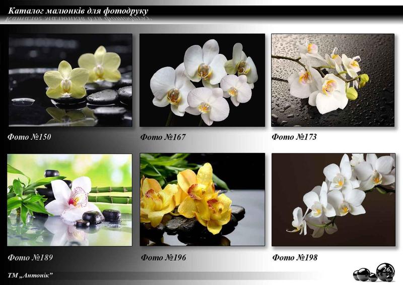 Каталог фотодруку частина 1 — ціна 700 грн у каталозі Меблеві гарнітури Купити товари для дому