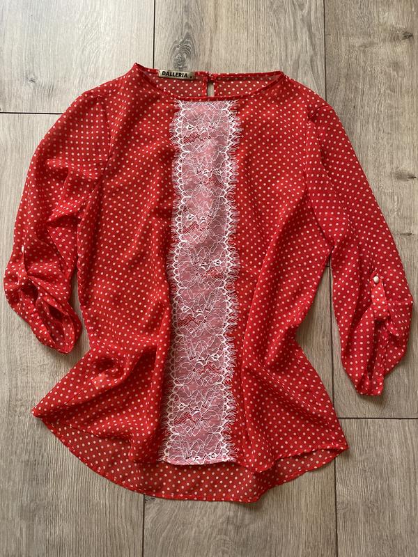 Блуза — ціна 275 грн у каталозі Блузи Купити жіночі речі за доступною ціною на Шафі Україна