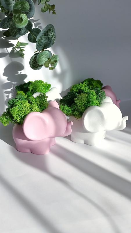 Кашпо слоник — цена 195 грн в каталоге Кашпо Купить товары для дома и быта по доступной цене на