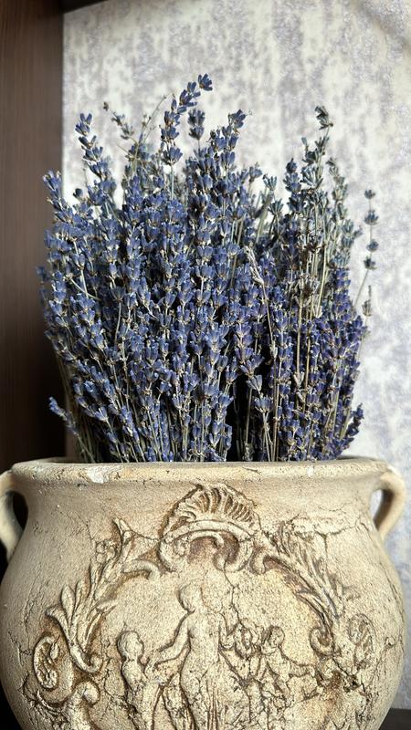 Лаванда — цена 50 грн в каталоге Искусственные цветы Купить товары для дома и быта по доступной