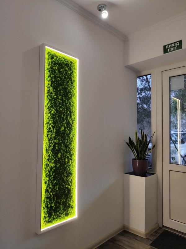 Панно із підсвіткою та стабілізованим мохом 150 см 40 см — цена 14400 грн в каталоге Постеры