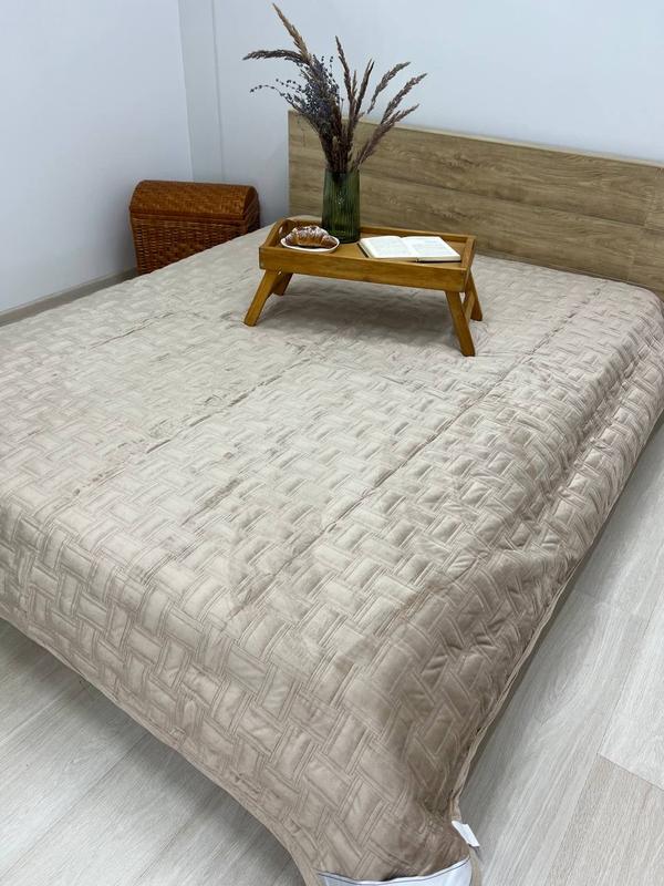 Велюрове покривало — ціна 1300 грн у каталозі Покривала Купити товари для дому та побуту за