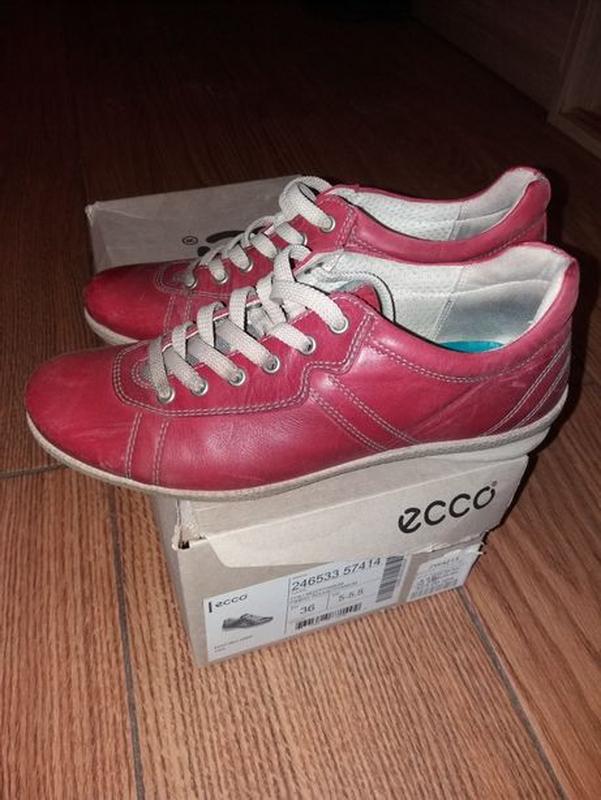 Кросівки ессо 36 розмір — ціна 270 грн у каталозі Кросівки Купити жіночі речі за доступною ціною ...