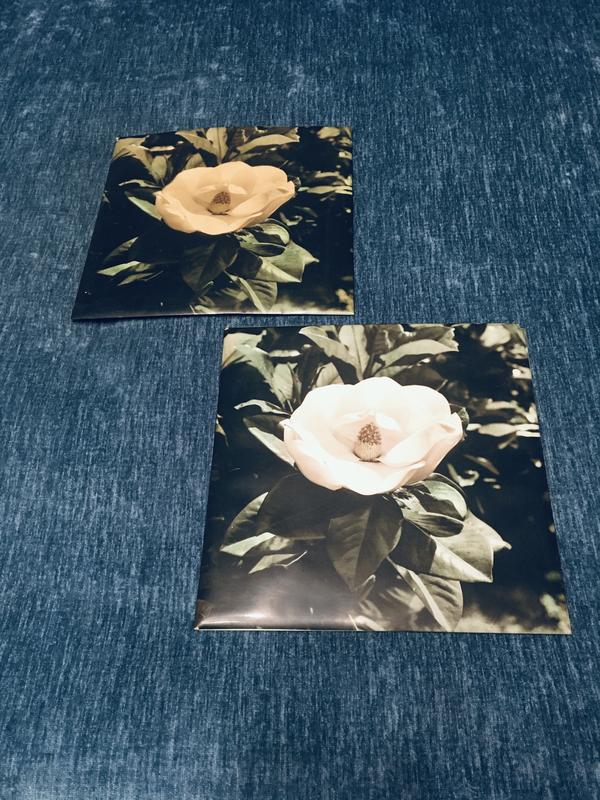 🔥 картинки 🔥 картини фото вінтаж старовинні — ціна 65 грн у каталозі Картини Купити товари для