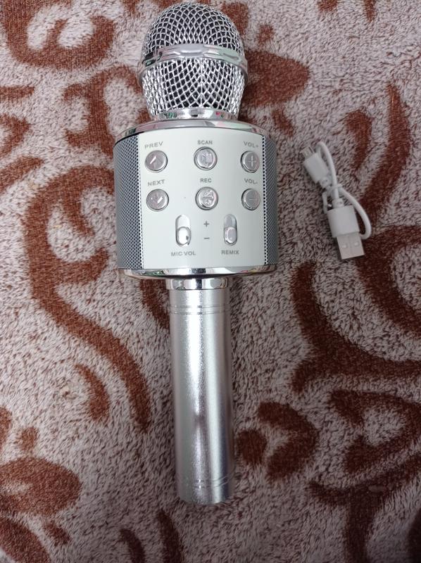 Микрофон — цена 250 грн в каталоге Музыкальные игрушки Купить детские товары по доступной цене