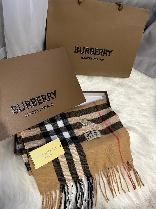 Classic burberry store