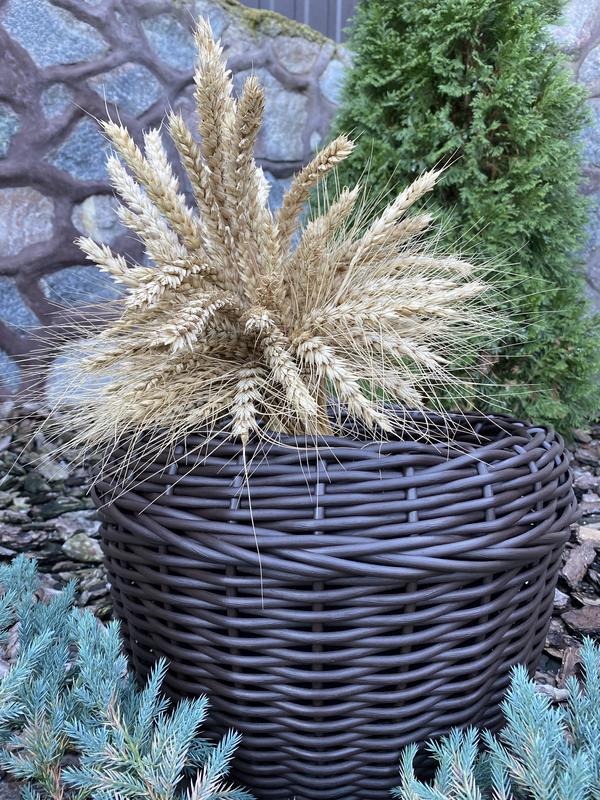 Кашпо з ротангу вазон — ціна 500 грн у каталозі Кашпо Купити товари для дому та побуту за