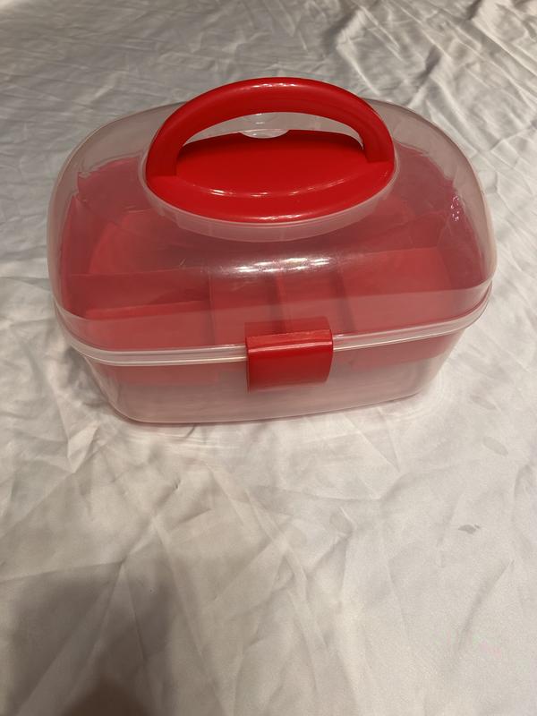 Контейнер — ціна 170 грн у каталозі Коробки Купити товари для дому та побуту за доступною ціною