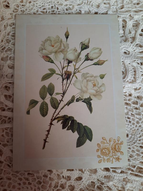 Листівки з квітами — ціна 25 грн у каталозі Листівки і конверти Купити товари для дому та побуту