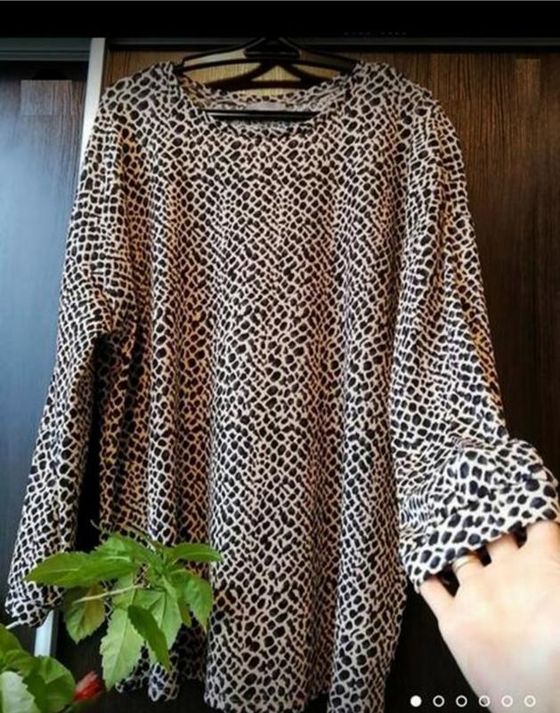 Гарненька блуза — ціна 100 грн у каталозі Блузи Купити жіночі речі за доступною ціною на Шафі