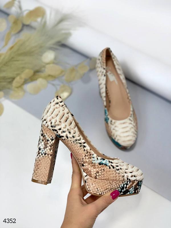 Стильные туфли питон — цена 950 грн в каталоге Туфли Купить женские вещи по доступной цене на