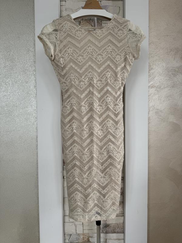 Красива мереживна міні сукня Quiz — ціна 460 грн у каталозі Короткі сукні Купити жіночі речі за