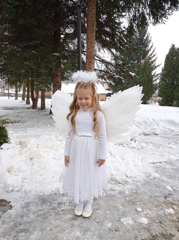 Декоративні крила ангела — ціна 430 грн у каталозі Декоративні елементи Купити товари для дому