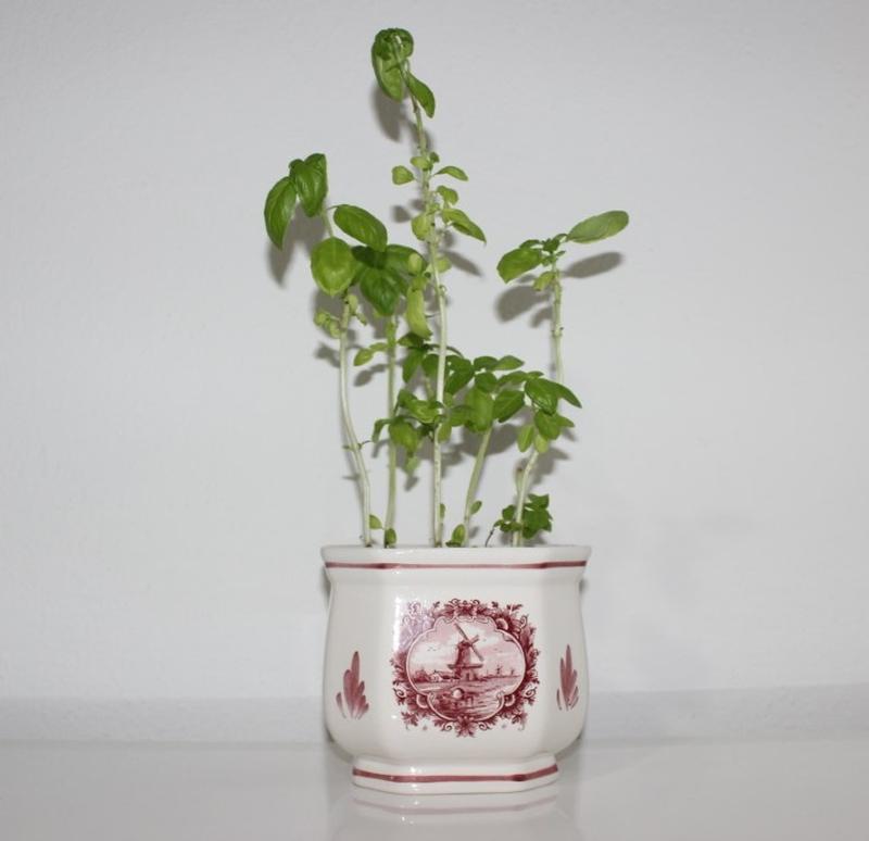 Кашпо для квітів Delfts — ціна 849 грн у каталозі Кашпо Купити товари для дому та побуту за