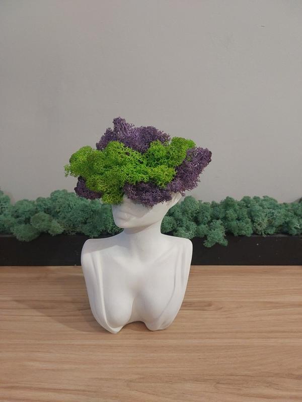 Бетонні кашпо — ціна 270 грн у каталозі Кашпо Купити товари для дому та