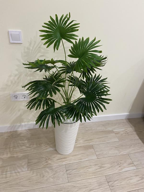 Пальма красивая как живая — цена 800 грн в каталоге Искусственные цветы Купить товары для дома и