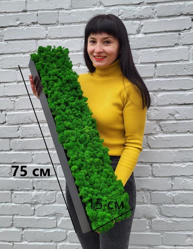 Деревяне прямокутне кашпо з мохом декор для вашого дому та офісу