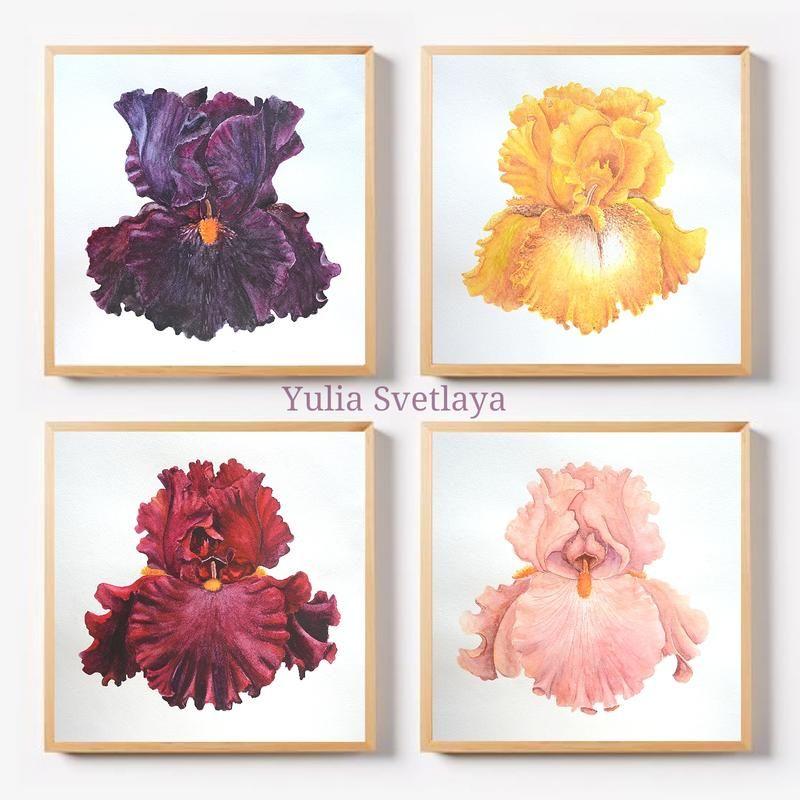 Картини з ірисами акварель іриси 4 картини — ціна 1500 грн у каталозі Картини Купити товари