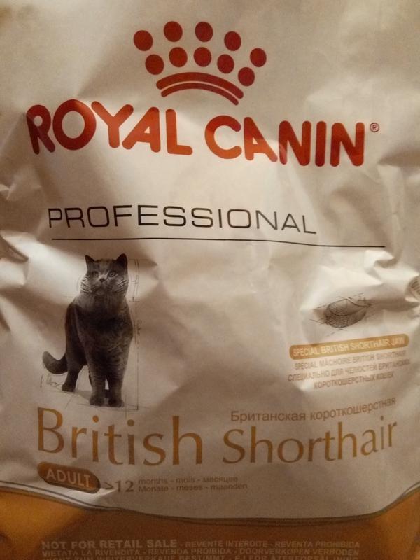 13 кг!!royal canin british shorthair - корм для британців 13кг — цена ...