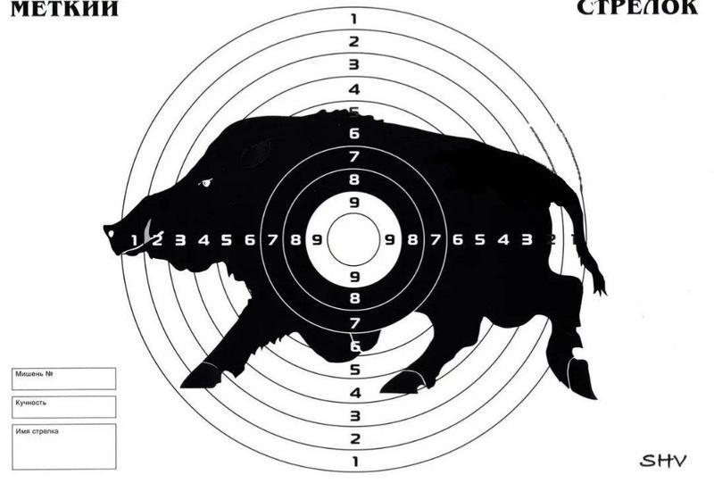 Мішень картоплини кабан (а4 297м х 210мм) 10 шт. — цена 271 грн в ...