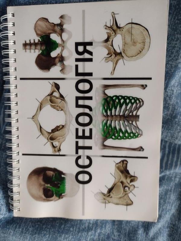 Анатомія остеологія — ціна 500 грн у каталозі Підручники Купити товари для спорту за доступною