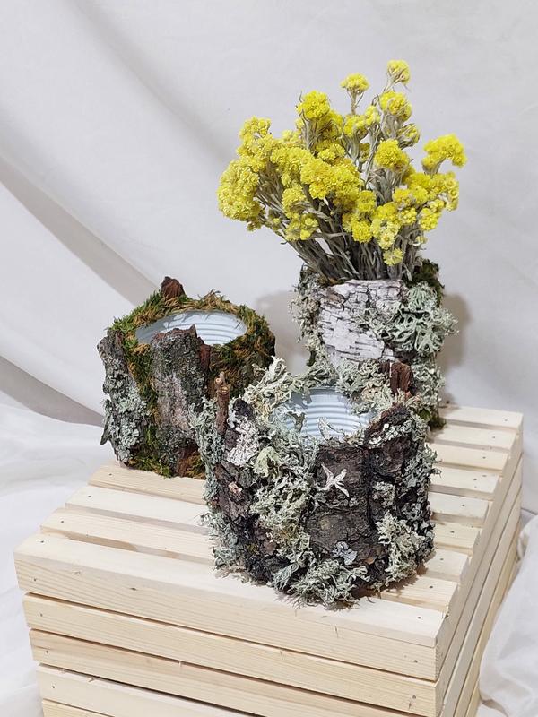 Кашпо кора декор вазон мох сухоцвіт — ціна 120 грн у каталозі Кашпо Купити товари для дому та