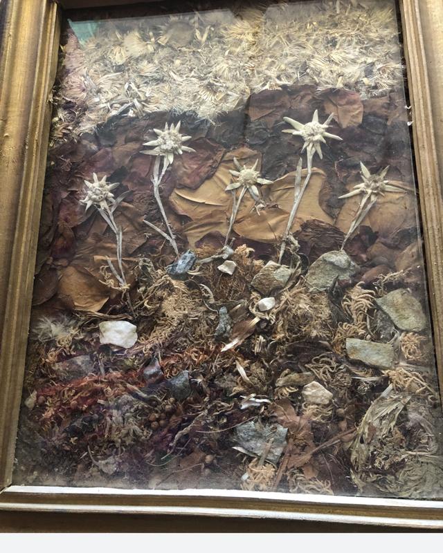 Картини — ціна 200 грн у каталозі Картини Купити товари для дому та побуту за доступною ціною на