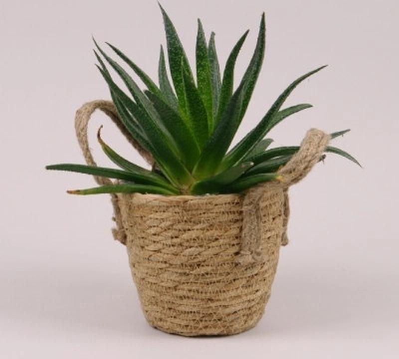 Кашпо з морської трави — ціна 110 грн у каталозі Кашпо Купити товари для дому та побуту за