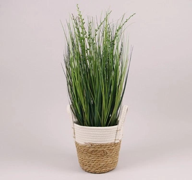 Кашпо из морской травы — цена 150 грн в каталоге Кашпо Купить товары для дома и быта по