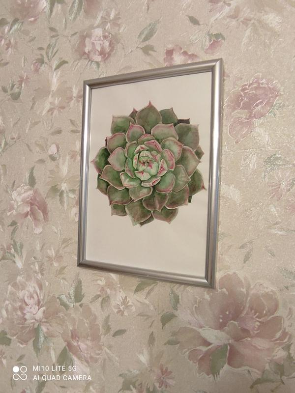 Малюнок картина акварель сукулент ботаніка — ціна 200 грн у каталозі Картини Купити товари