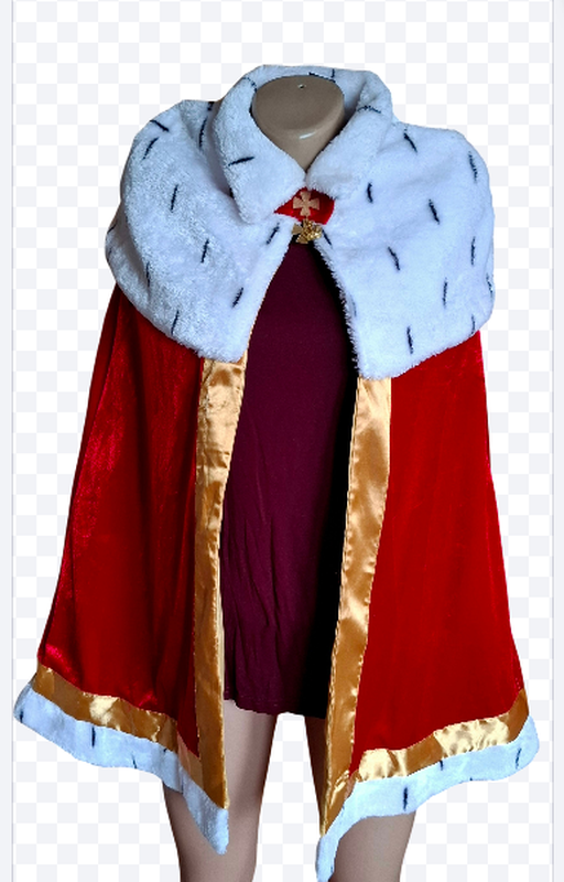 Мантія королівська карнавальне золото велюр і горностай дитяча накидка на 3-11 років — ціна 450 ...