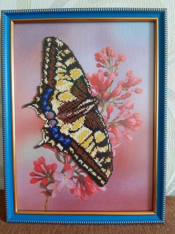 бабочка — цена 1000 грн в каталоге Картины Купить товары для дома и быта по доступной цене на